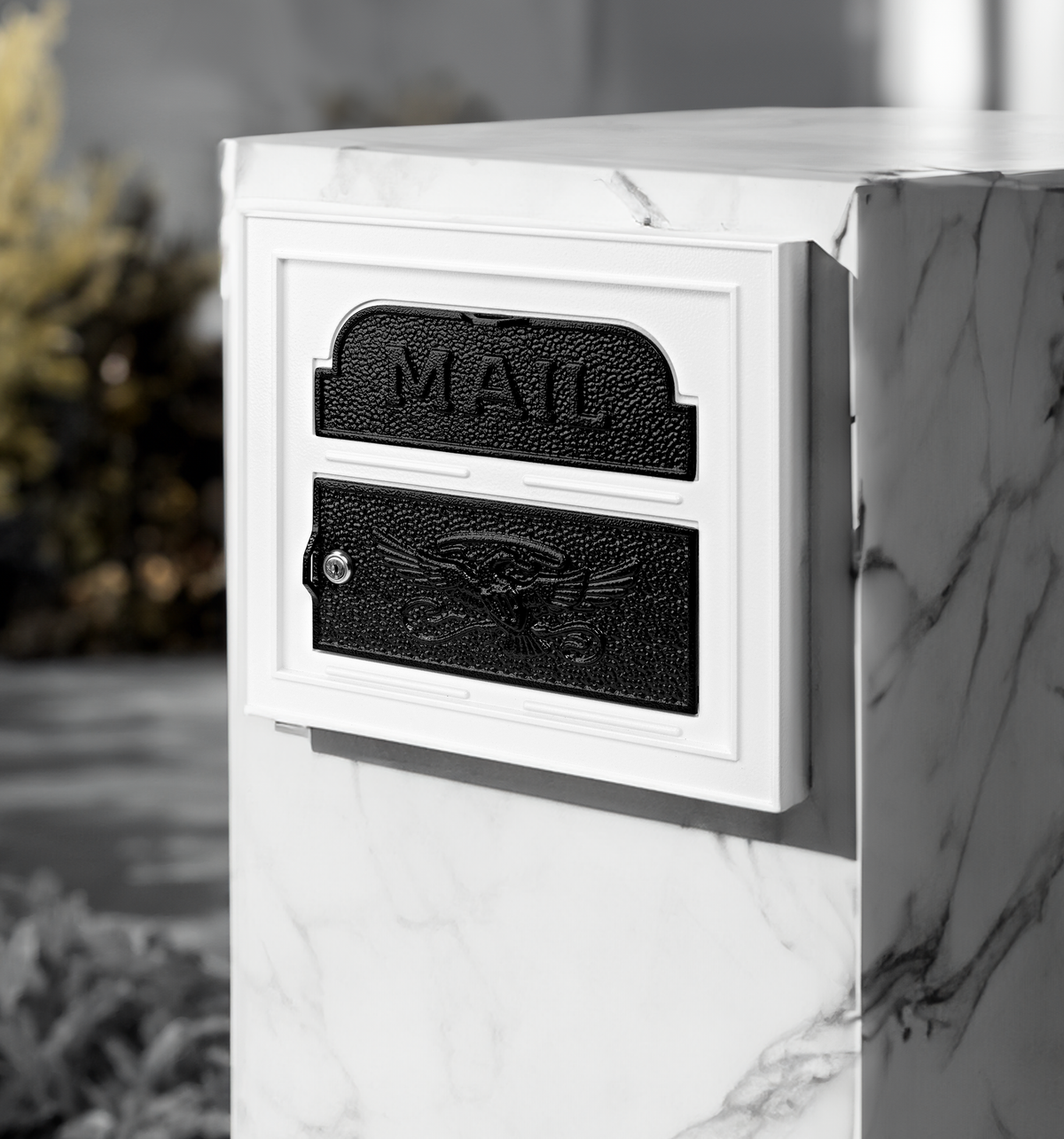 Black and White Limited Edition - Faceplate